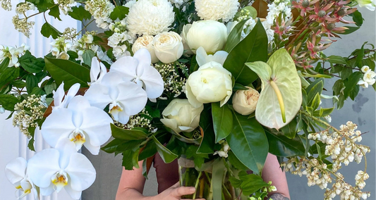 Florist Brisbane | Same Day Flower Delivery | Divine Flowers