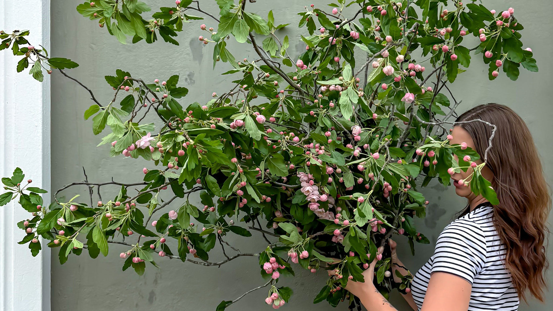 Florist Brisbane | Same Day Flower Delivery | Divine Flowers