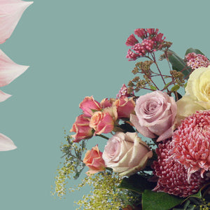 Florist Brisbane | Same Day Flower Delivery | Divine Flowers