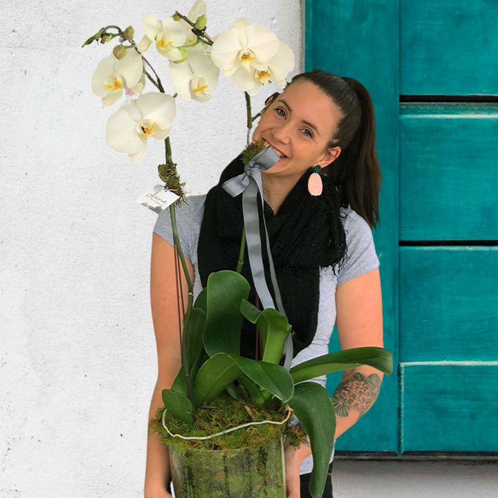 Florist Brisbane | Same Day Flower Delivery | Divine Flowers