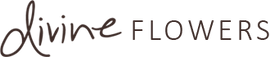Florist Brisbane | Same Day Flower Delivery | Divine Flowers