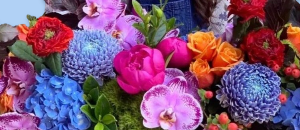 Florist Brisbane | Same Day Flower Delivery | Divine Flowers