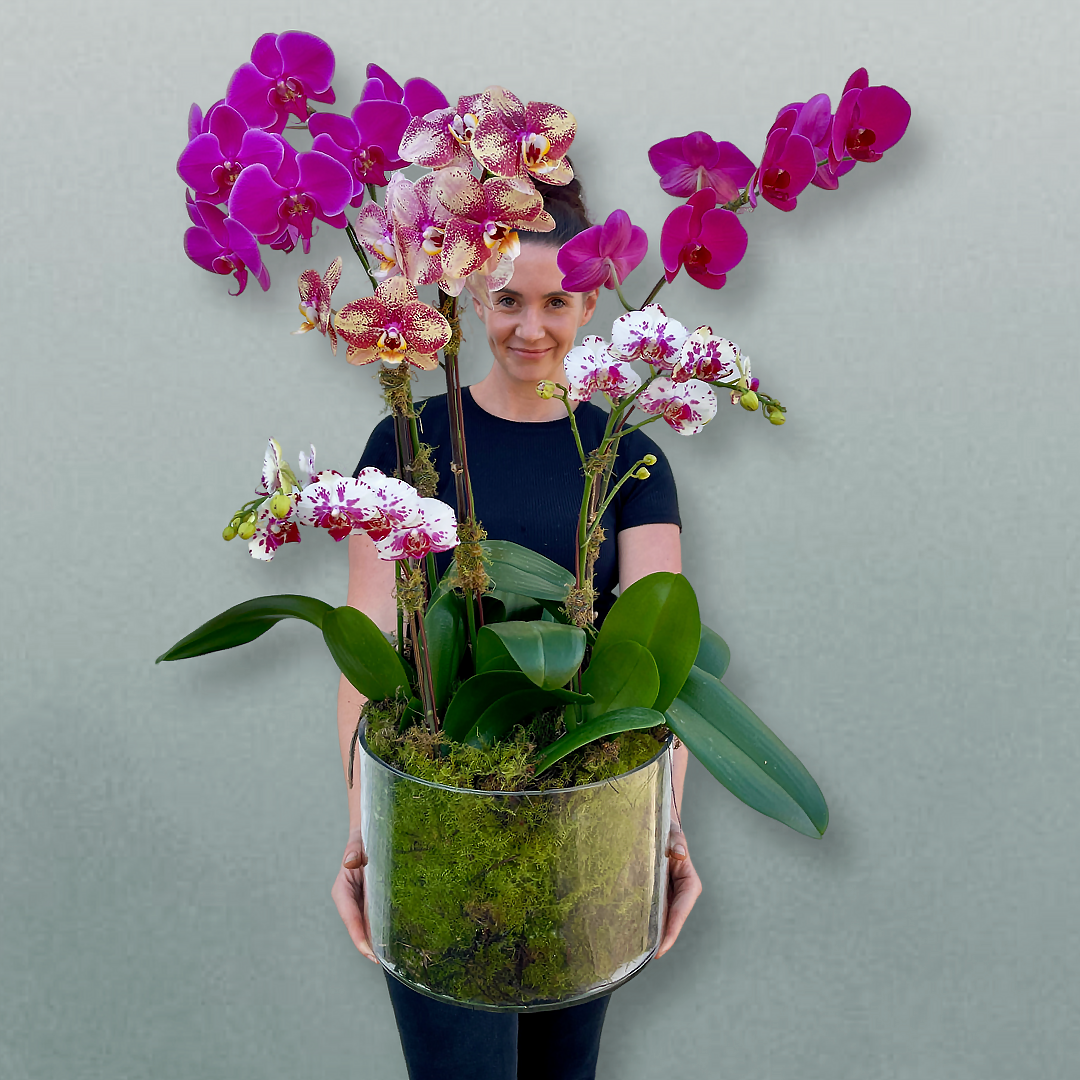 Florist Brisbane | Same Day Flower Delivery | Divine Flowers